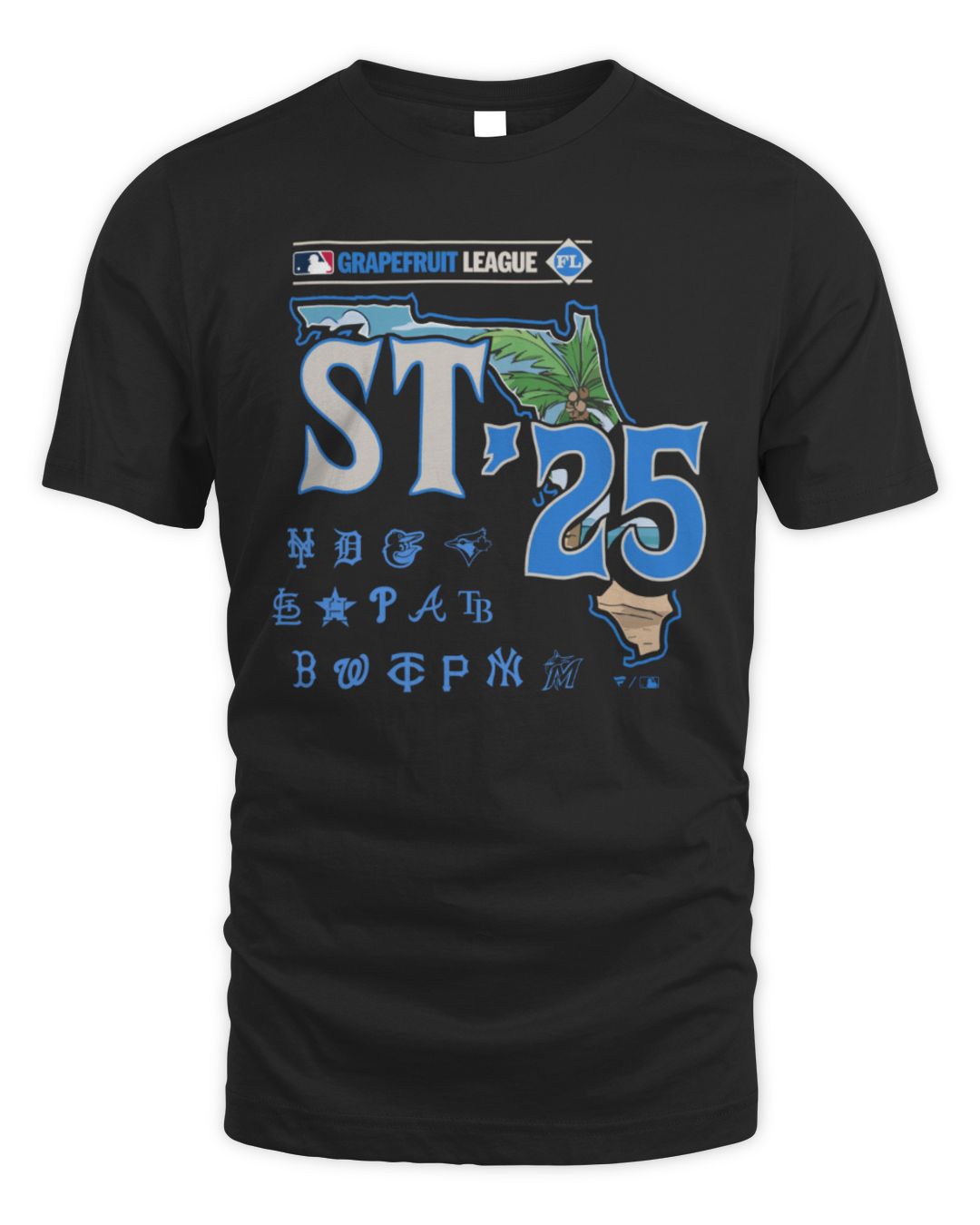 15 Teams 2025 Spring Training Grapefruit League Local Favorite T-Shirt